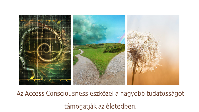 Access Consciousness